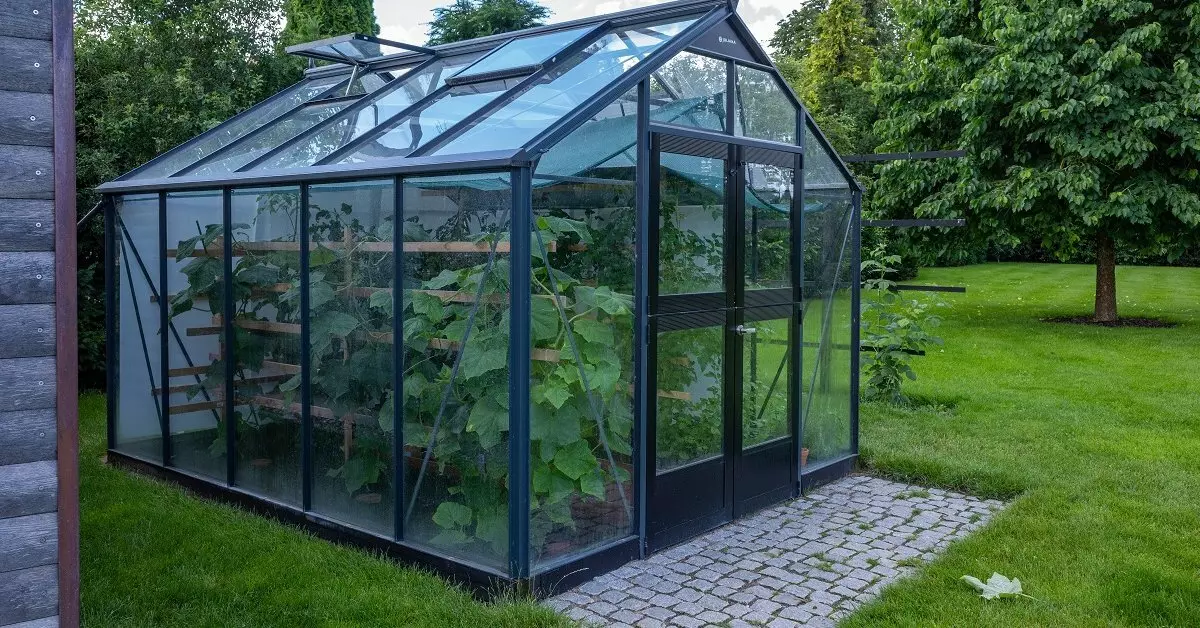 如果花園完全小：5個緊湊型選項，所以要放置什麼樣的溫室
