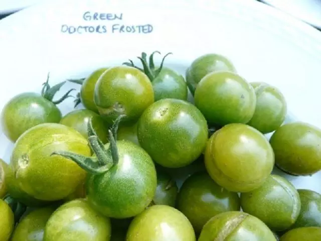 Greece Green Doctoor Frost