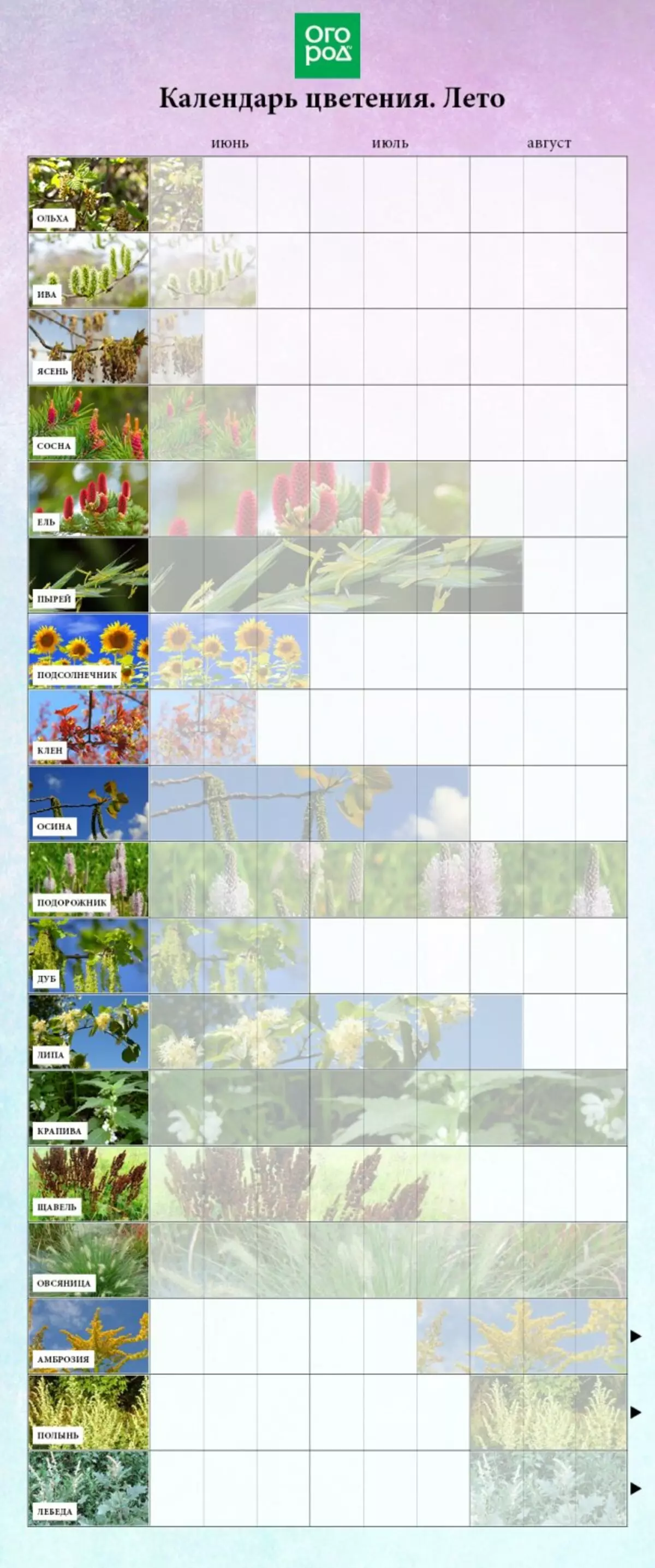 Allergia kalender Summer