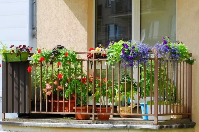 Balcony zokongoletsera ndi maluwa