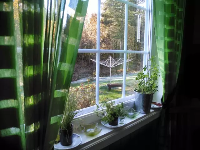 Nyob sab hauv tsev ntawm cov windowsill nyob rau lub caij ntuj no