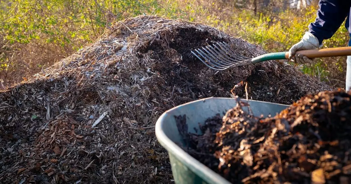 11 methods of applying compost on the plot