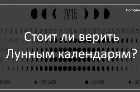 Kalendala ya Lunar - 2019: Tidzabzala mbande pamalo okhazikika 3925_1