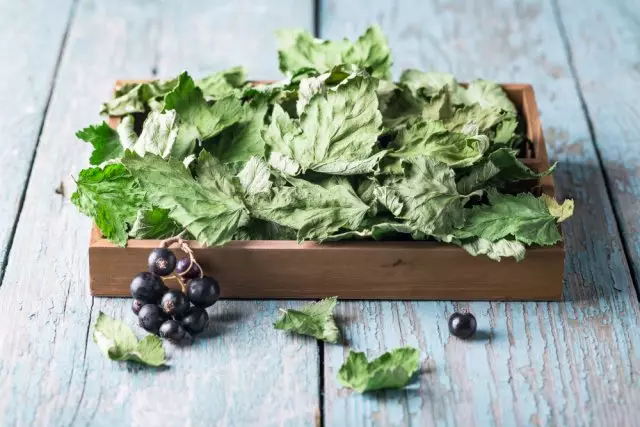 Food from currant leaves