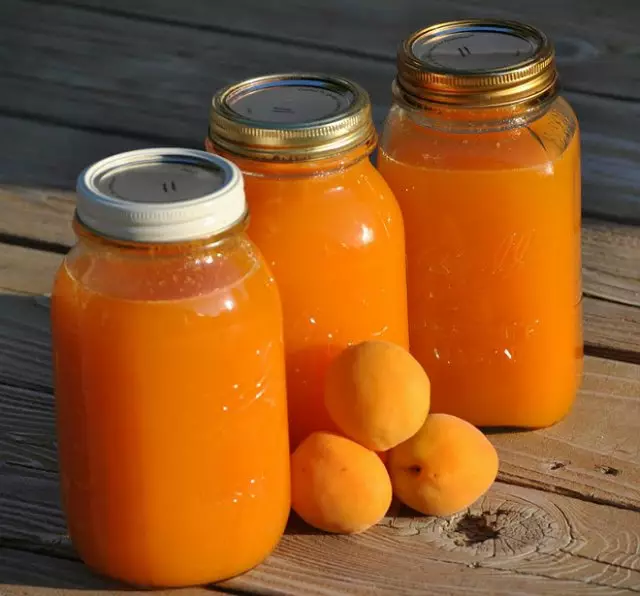 What to cook from apricots for the winter - the best home orders 3957_7