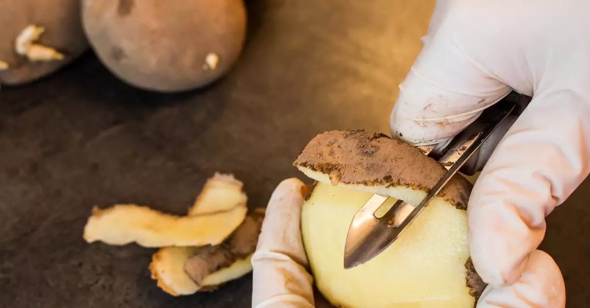 تنظيف البطاطس: ما هو مفيد وكيفية استخدامها في البلاد