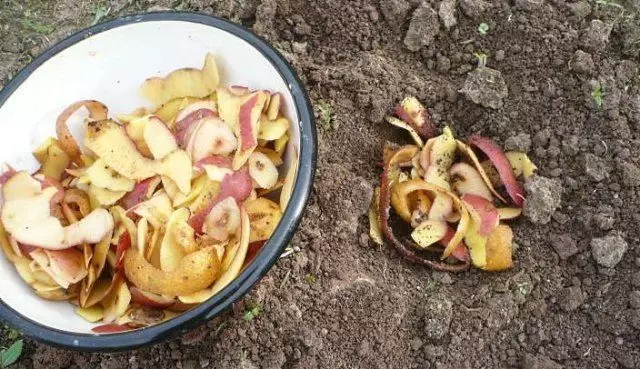 Застосування лушпиння картоплі в городі