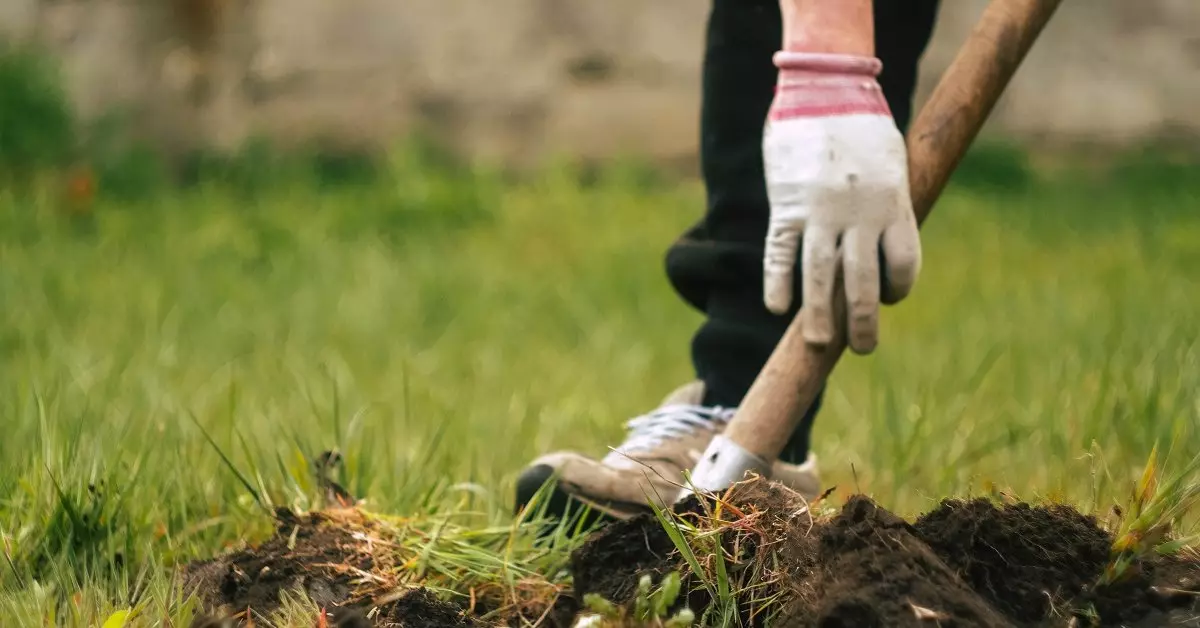 Excavar o no cavar: tota la veritat sobre la resistència al sòl freqüent