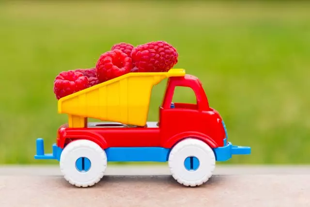 Transportation of raspberries