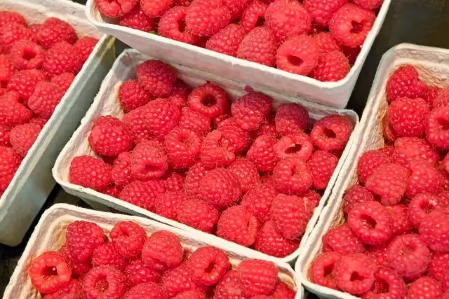 RIPE RASPBERRIES IN CONTAINERS AT THE FARMER'S MARKET
