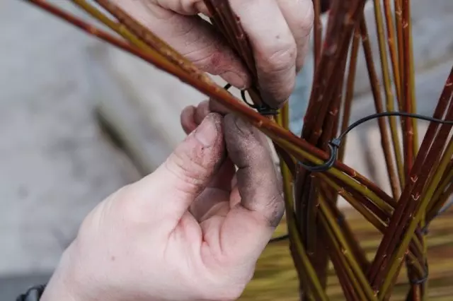 Weaving Willow