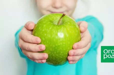 Proljetna avitaminoza - kako odrediti u odrasloj osobi i djetetu i kako pomoći tijelu 4017_1