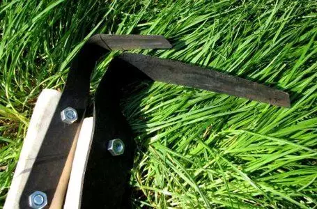 Escolla unha ferramenta para eliminar as herbas daniñas 401_21