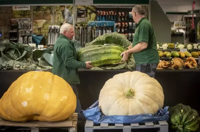 Den största pumpan