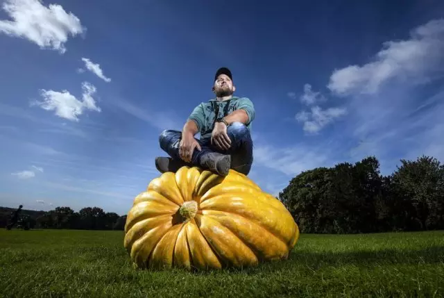 Giant Pumpkin