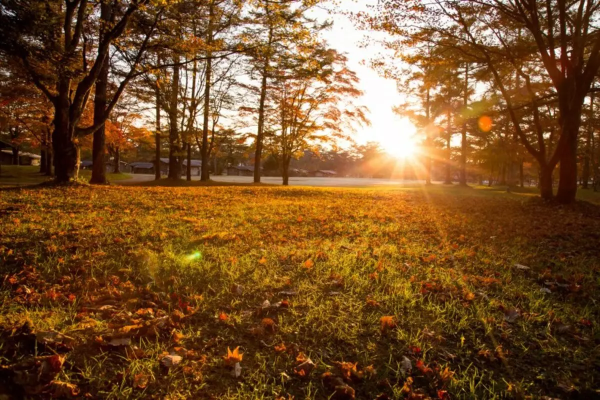 10 причини се вљубуваат во есен