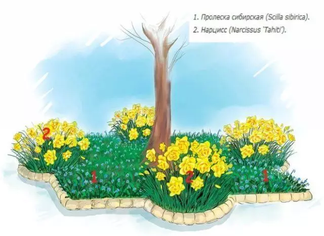 چگونه برای تجهیز یک باغ گل در حلقه های نورد درختان 4091_11