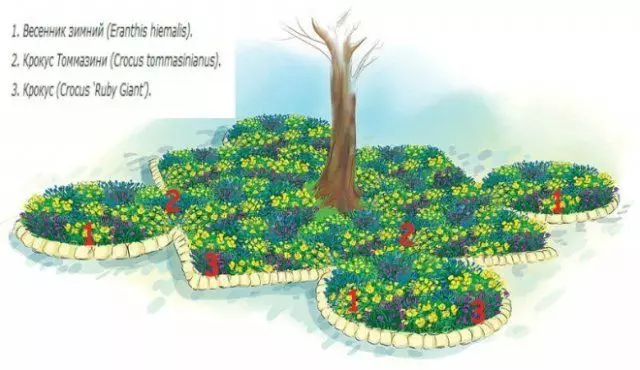 သစ်ပင်များလှိမ့်စက်ဝိုင်းတွင်ပန်းပွင့်ဥယျာဉ်ကိုမည်သို့တပ်ဆင်ရမည်နည်း 4091_13