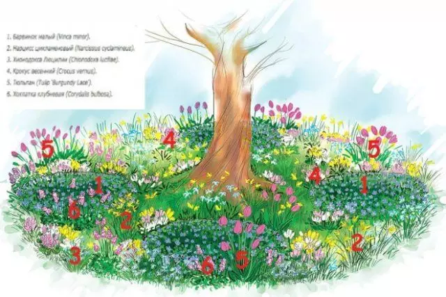 သစ်ပင်များလှိမ့်စက်ဝိုင်းတွင်ပန်းပွင့်ဥယျာဉ်ကိုမည်သို့တပ်ဆင်ရမည်နည်း 4091_9
