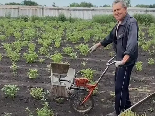 O mecanismo para a recollida dun escaravello de Colorado