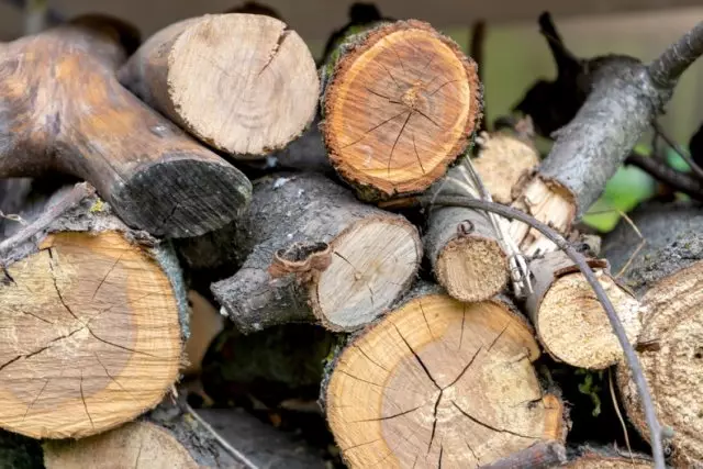 Firewood na bpórtha torthaí