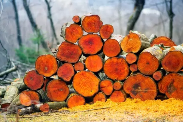 Olkhovy firewood.