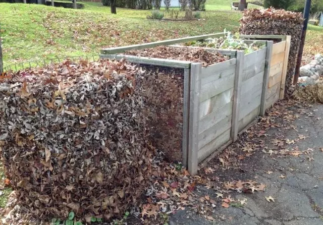 Парақ гумус: қалай пісіруге және пайдалануға болады 4225_3