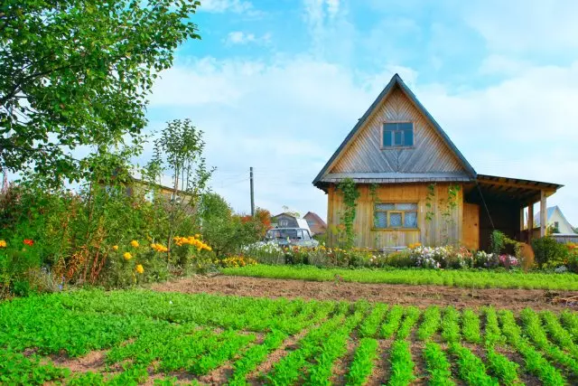 Dacha'da toprak