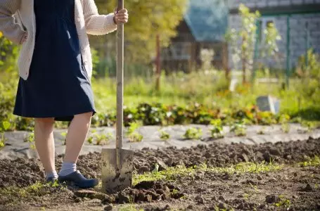 Bahçe püf noktaları: nasıl reddedilir 4227_5