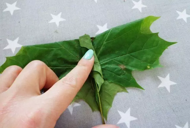 Αυξήθηκε από τα φύλλα βήμα προς το βήμα 1