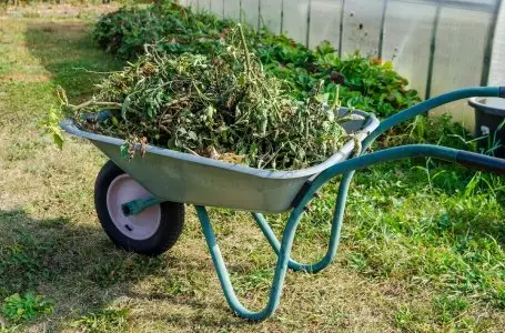 Uložiť planétu: 10 Užitočné ekódy, ktoré zomierajú pre každého 4254_23