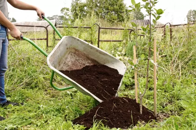 Turf op die groentetuin