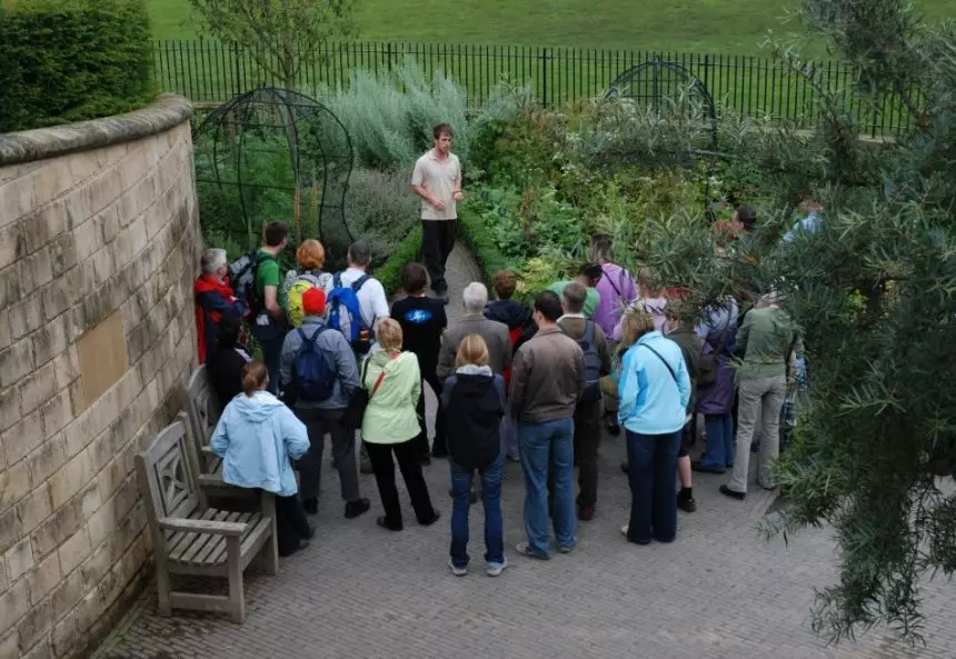 Die gevaarlikste park in die wêreld - 7 giftige plante van die tuin Alnwick 4401_12