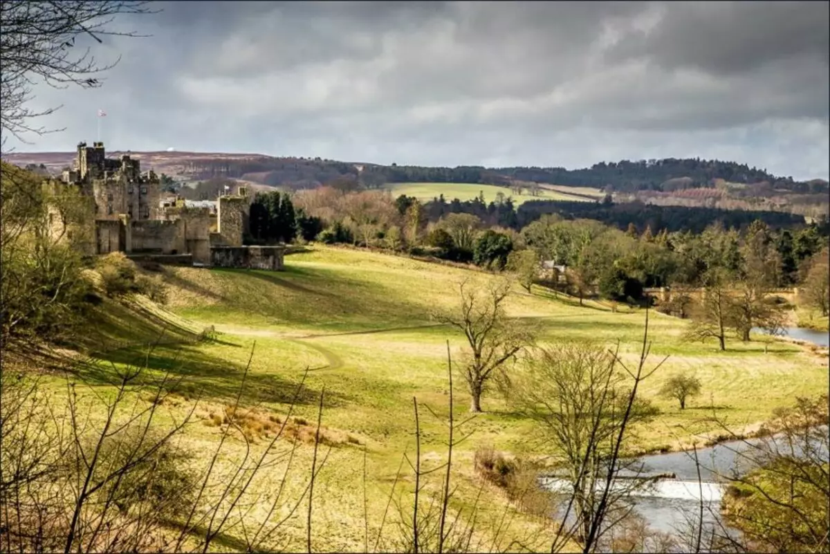 Beerta ugu halista badan adduunka - 7 dhirta sunta ah ee beerta alnwick 4401_2