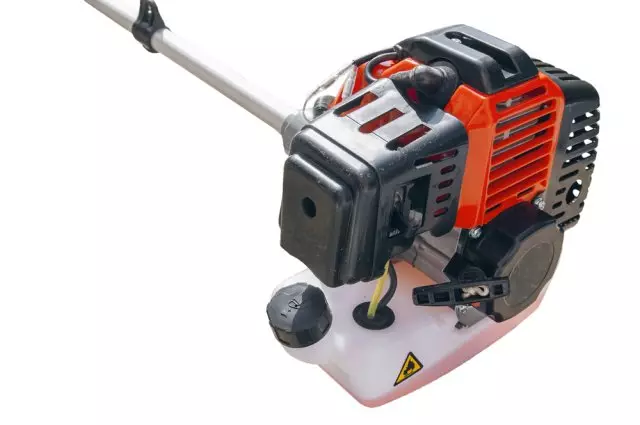 Motor fir Trimmer