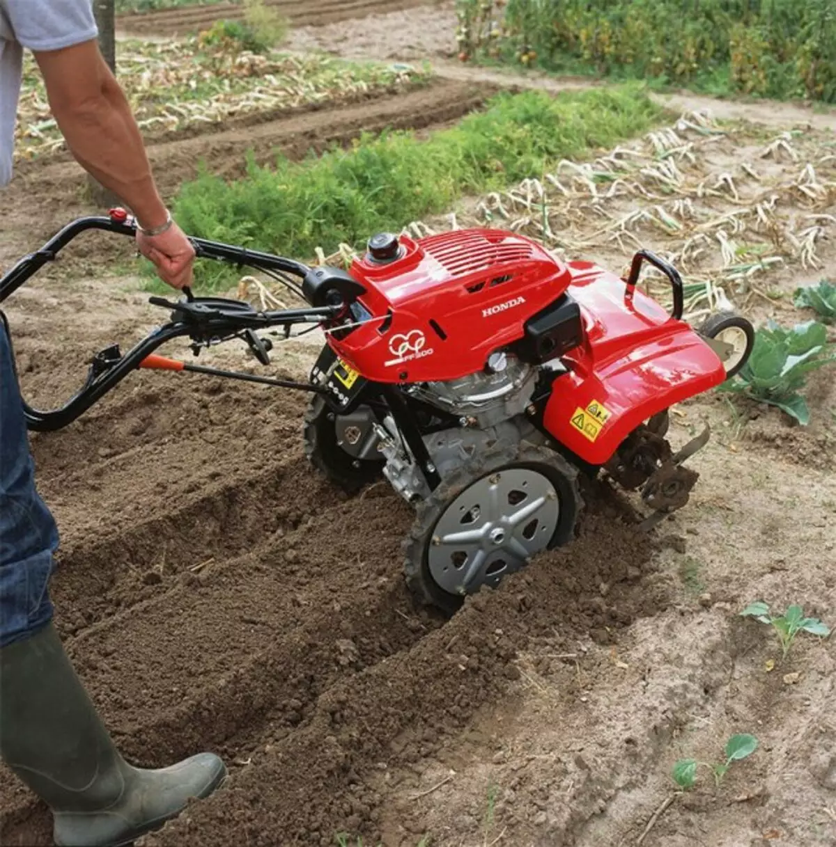 Kultiven a Motoblocken: Wielt Staang a Service Tipps 444_1