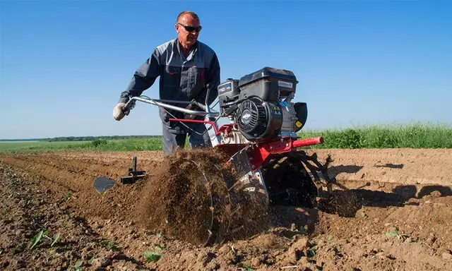 Kultiven a Motoblocken: Wielt Staang a Service Tipps 444_3