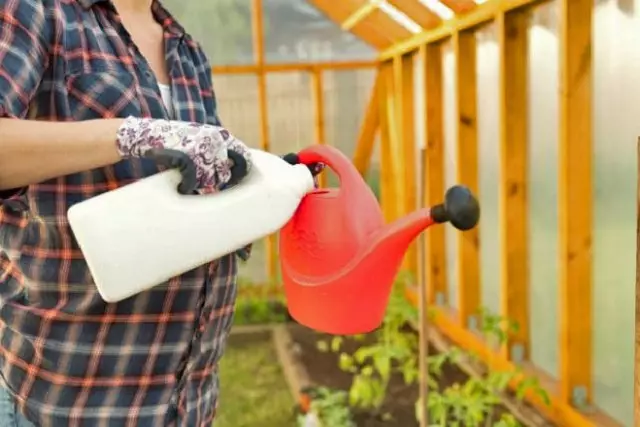 Hoe't jo de immuniteit fan planten ferheegje