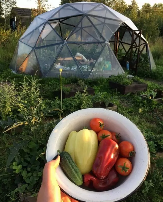 Dome skleník s vlastními rukama - sen je proveditelný! 4457_28