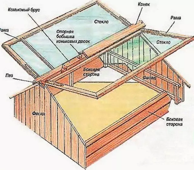 Butterfly Greenhouse Constreme Scheme