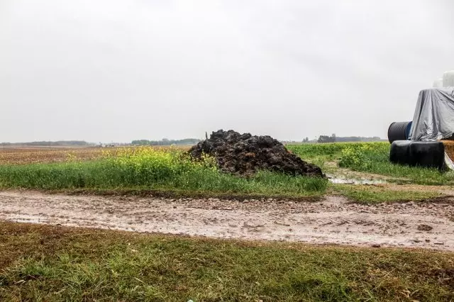 Овоолсон ялгадас