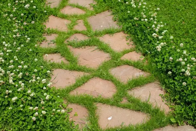 garden path