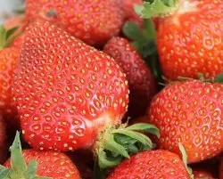 Strawberry itandukanye alba