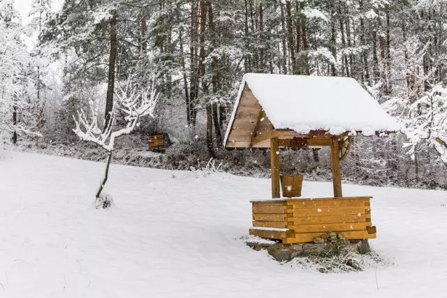 Wetter ferdwûn yn 'e winter yn' e winter