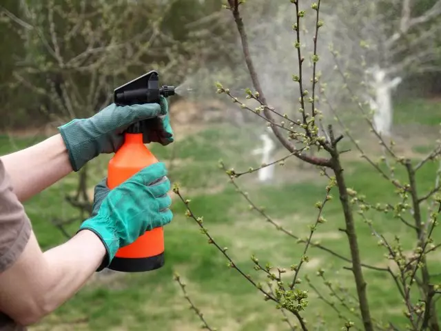 Processamento de jardim na primavera