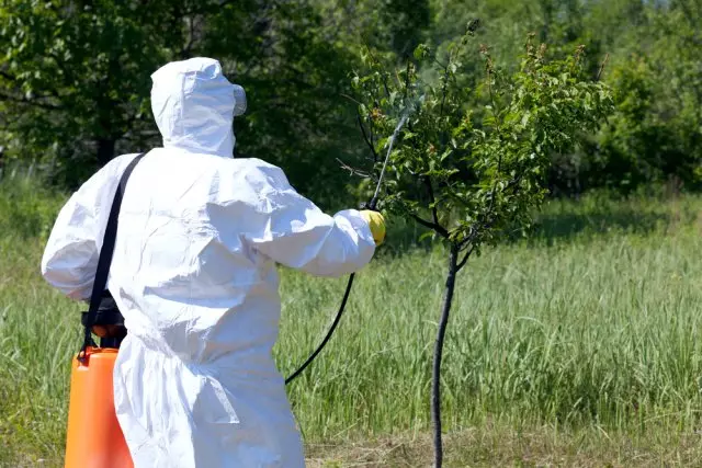 Trabalhe com pesticidas