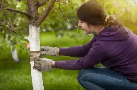 15 gradini per un giardino sano - regole semplici che aiuteranno a mantenere un raccolto 4615_11