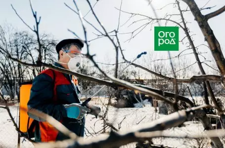 15 gradini per un giardino sano - regole semplici che aiuteranno a mantenere un raccolto 4615_14