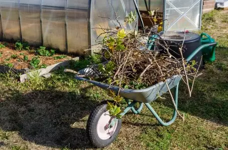 15 gradini per un giardino sano - regole semplici che aiuteranno a mantenere un raccolto 4615_18