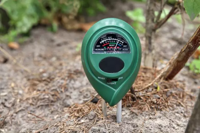 How to measure the acidity of the soil on the plot